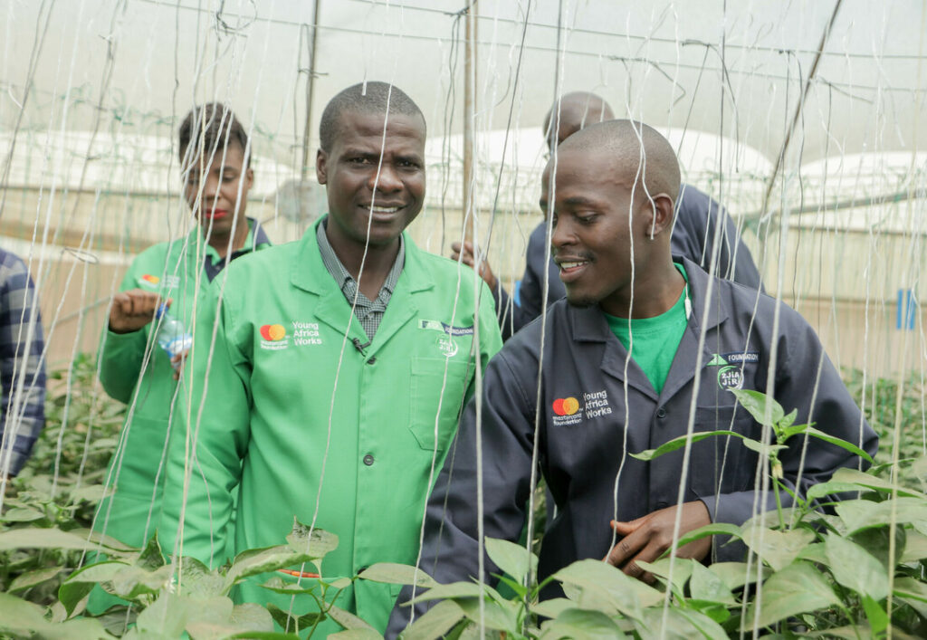 About Us | Mastercard Foundation Asset Management